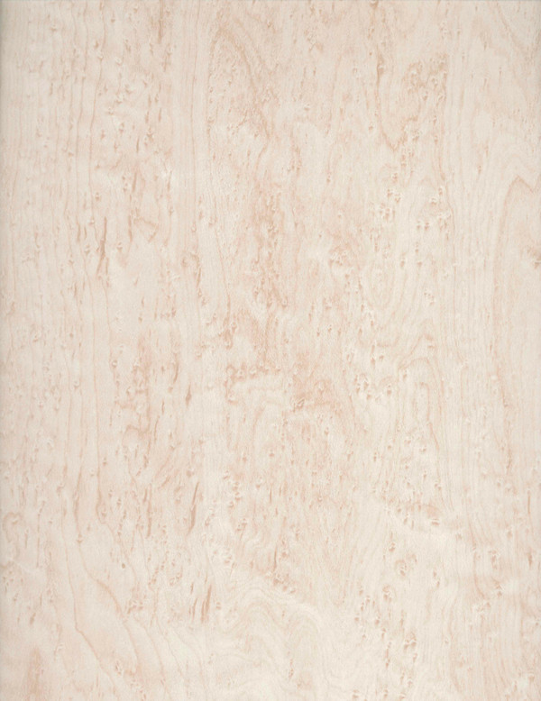 BIRDS MAPLE 1514 (FORMICA) - Lamicentro Galufer