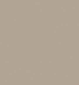 TAUPE 2165 (FORMICA) - Lamicentro Galufer