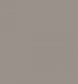 FOSSIL 2297 (FORMICA) - Lamicentro Galufer